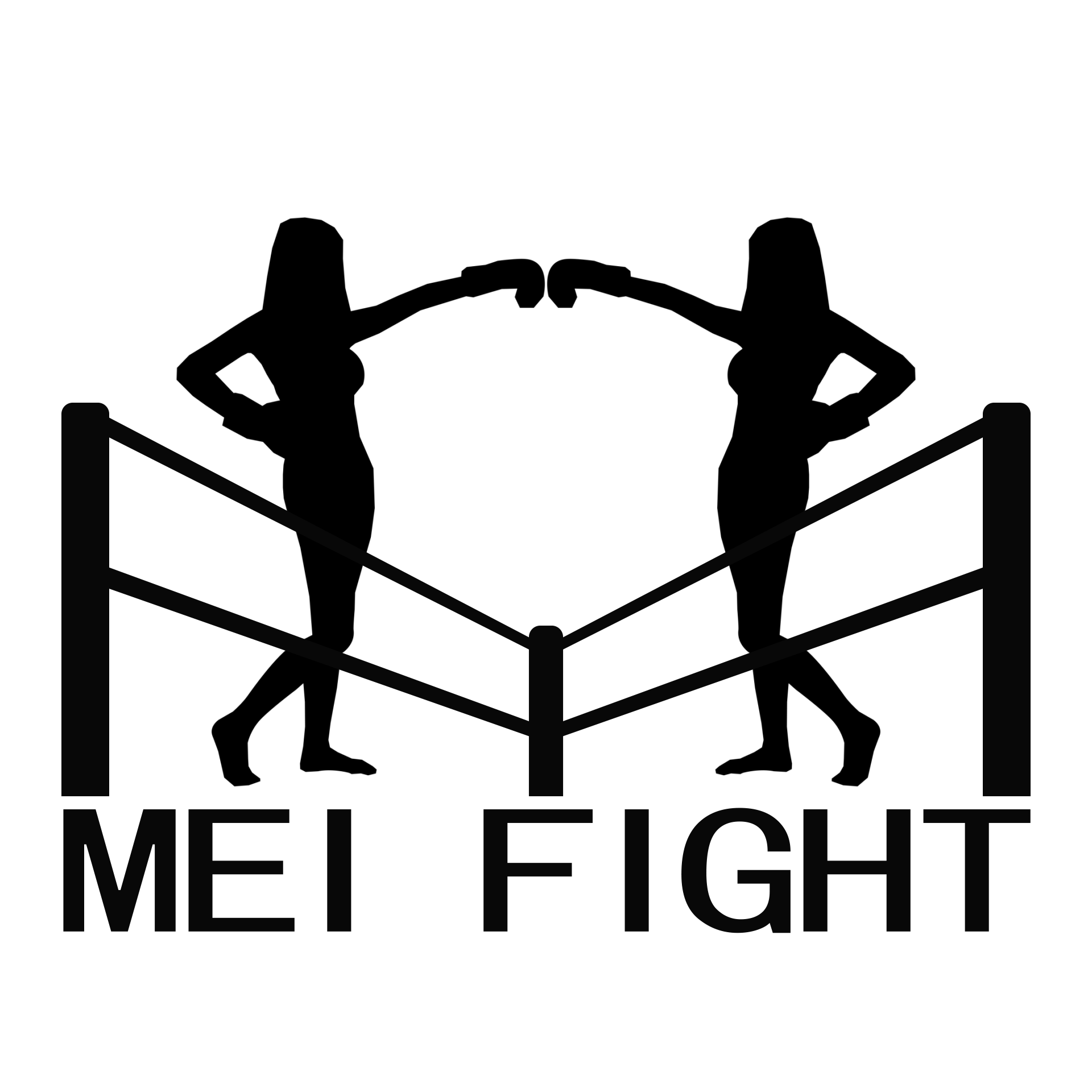 Mixed boxing – MeiFight